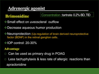 antiglaucoma drugs for optometrist students.pptx