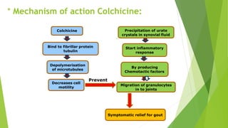 Gout And Antigout Drugs | PPT