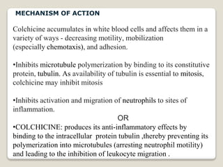 ANTI GOUT DRUGS.....pptx