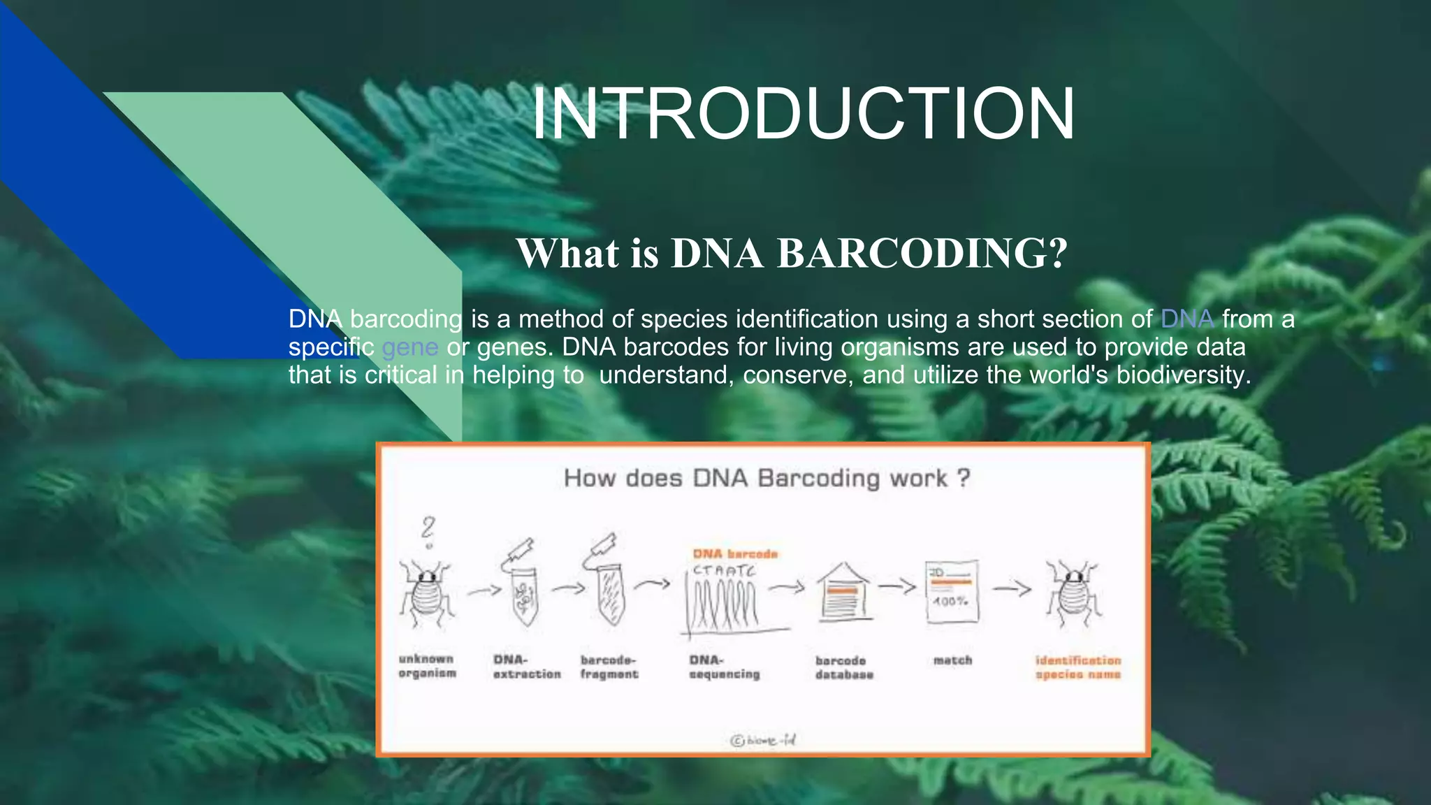 Antigua Girls high AUA Science project.pptx