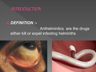 Antihelmentic drugs | PPTX