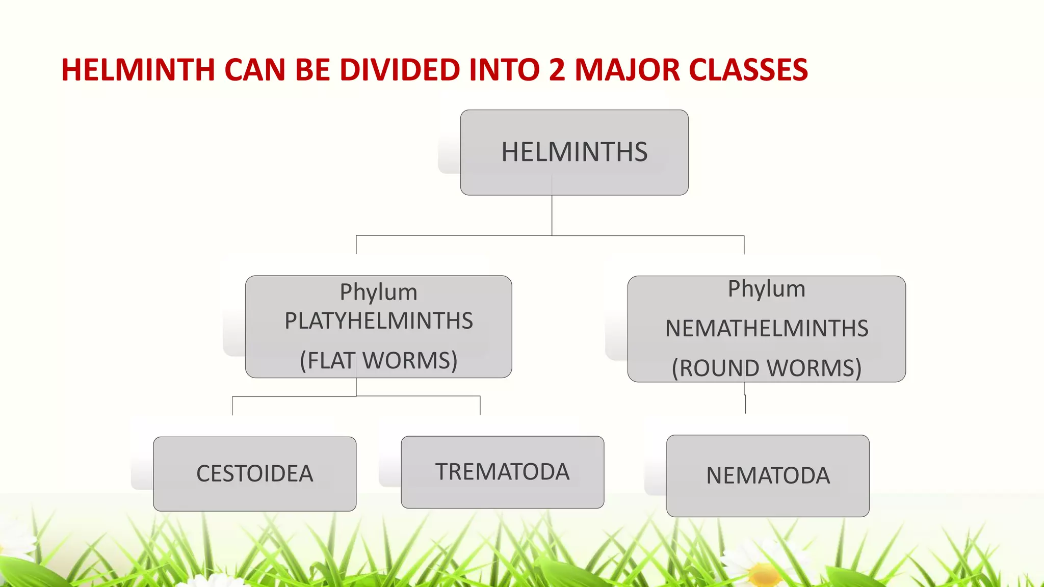 Anti helminth) | PPT