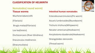 Anti helminth) | PPT