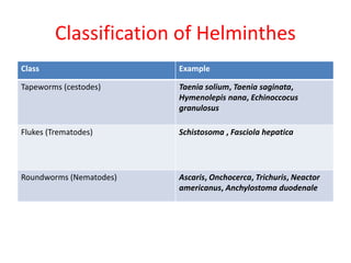 Anti helminthic drugs | PPTX
