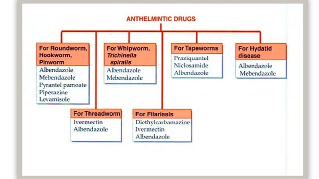 ANTI HELMINTHIC DRUGS- either kill (vermicidal) or expel(vermifuge ...