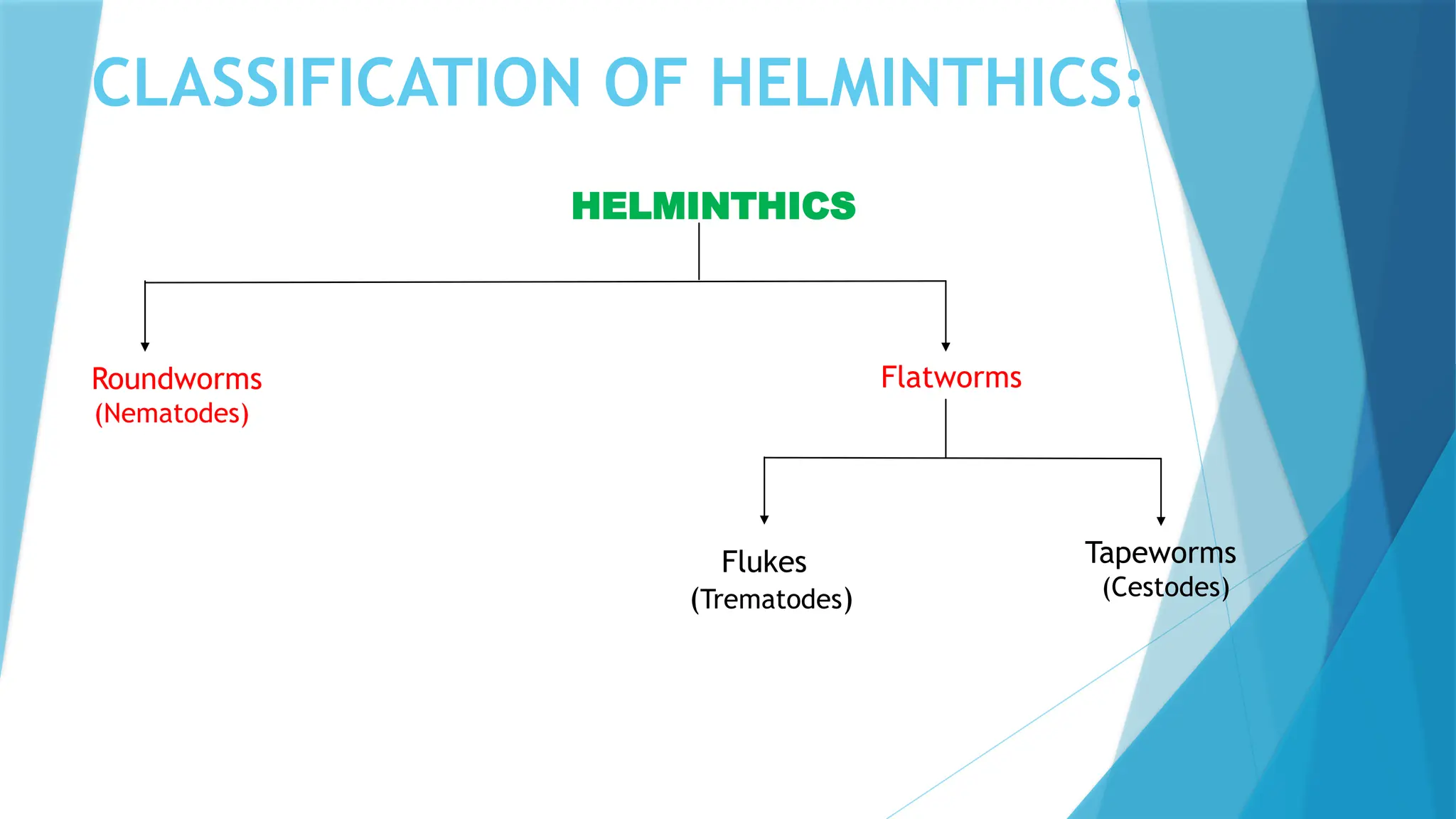 ANTHELMINTHIC: Types of Worms, Treatment, Drug Classification ...
