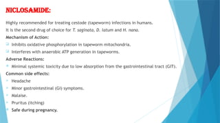 ANTHELMINTHIC: Types of Worms, Treatment, Drug Classification ...