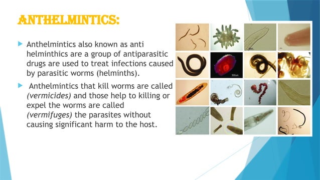 ANTHELMINTHIC: Types of Worms, Treatment, Drug Classification ...