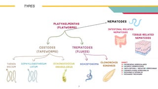 Antihelmintics | PPT