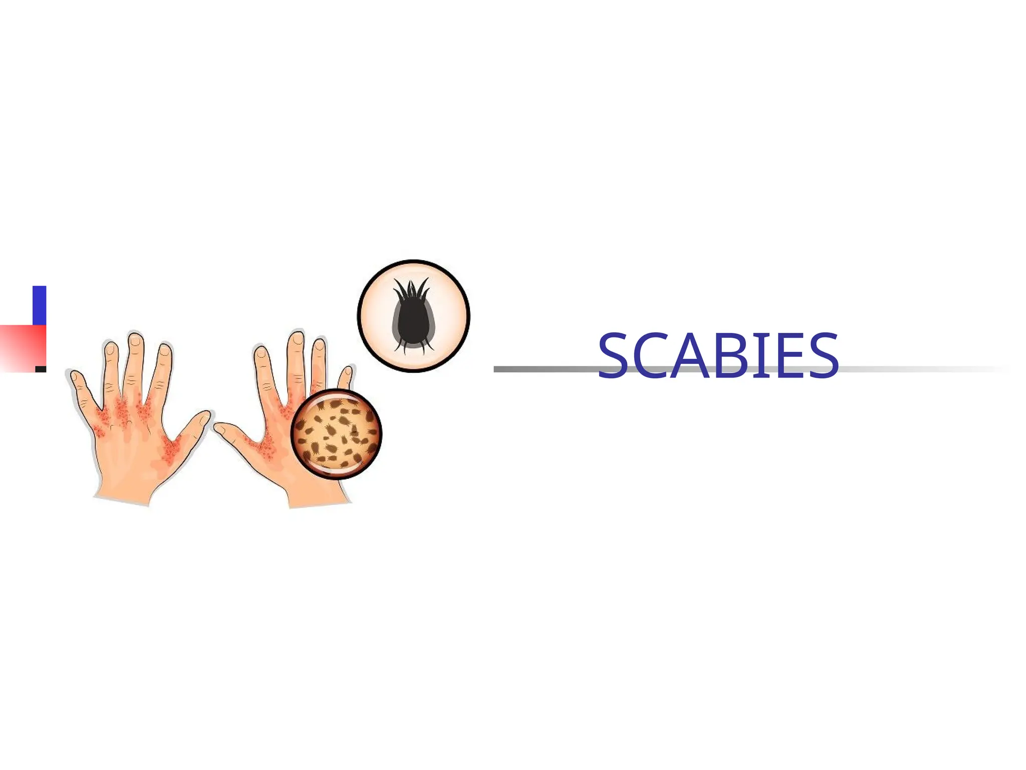 ANTI HELMINTTH AND ANTI SCABIES DRUGS.ppt
