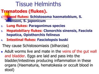 Antihelmitics MOA (2).ppt