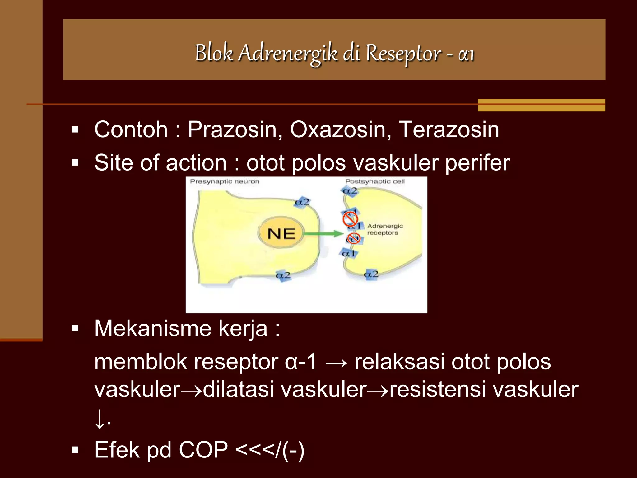 Anti hipertensi | PPTX