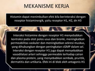 Antihistamin | PPTX