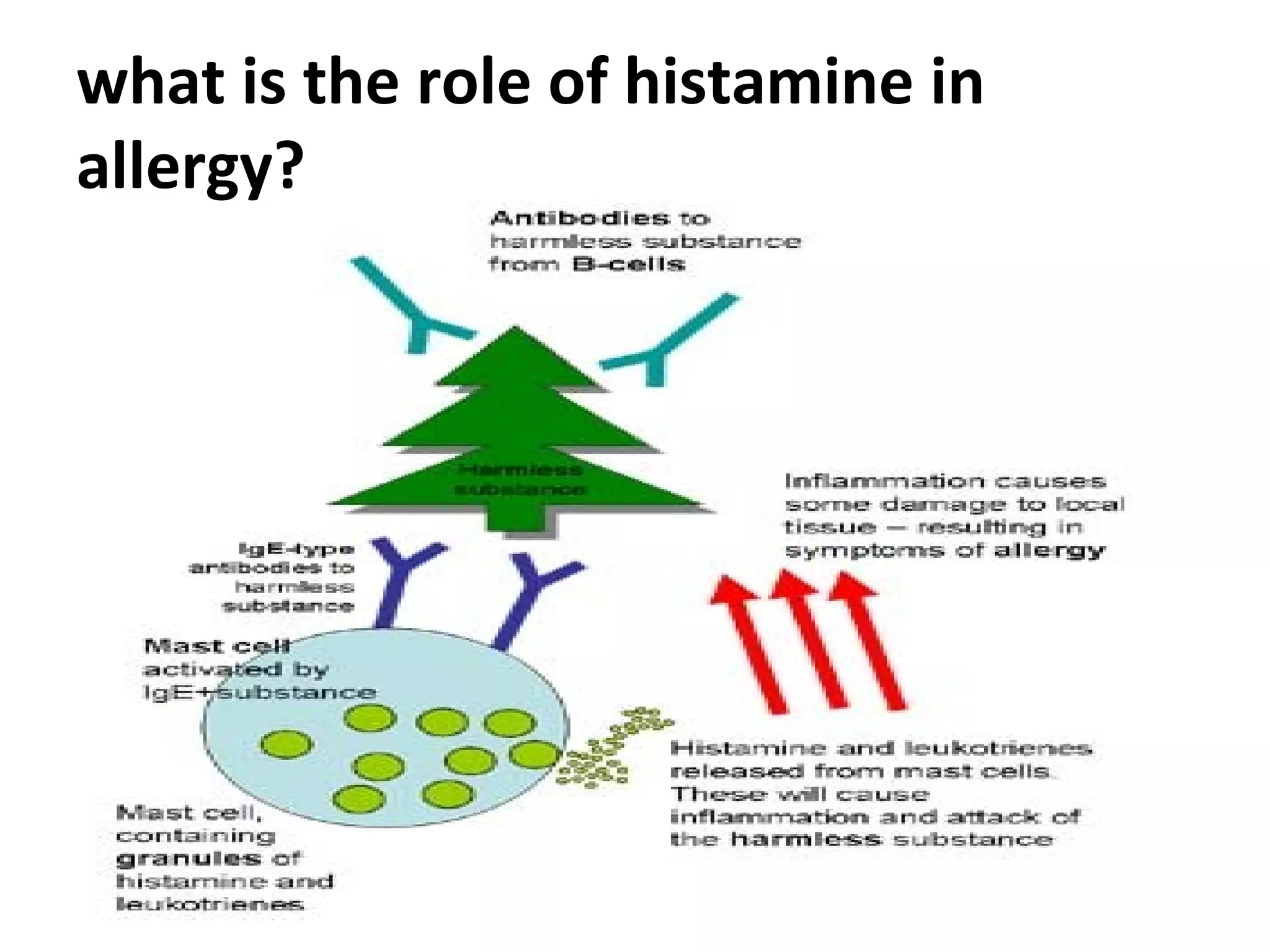 Antihistamine | PPT