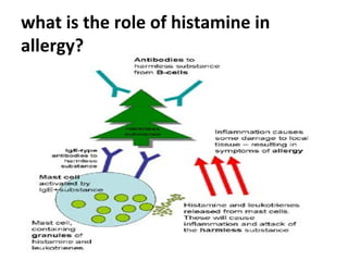 Antihistamine | PPT