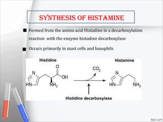 Antihistamines | PDF | Allergies | Diseases and Conditions