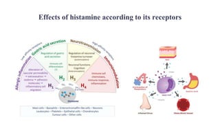 Antihistamines agents types generations. | PPTX