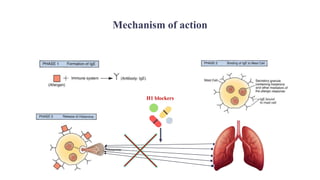 Antihistamines agents types generations. | PPTX