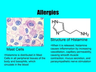 antihistamine presentation-khall.ppt