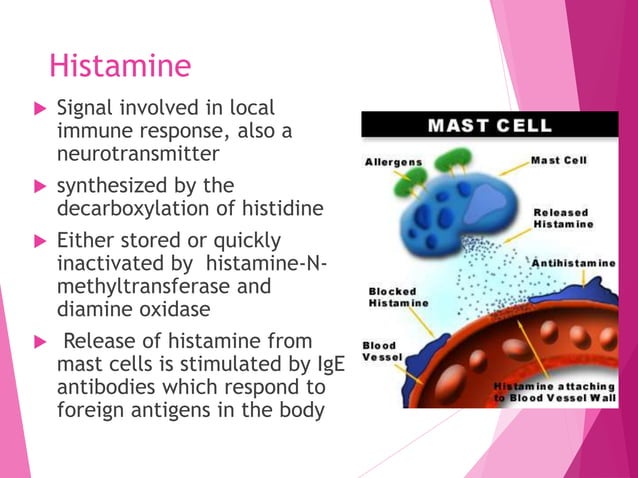 Antihistamines | PPT