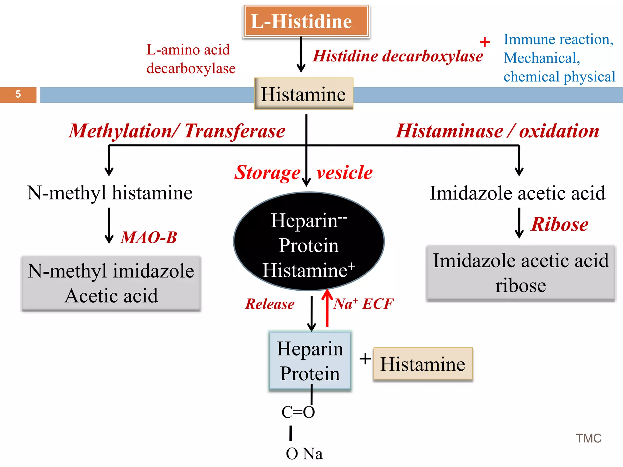Antihistamines mani | PPTX