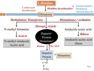 Antihistamines mani | PPTX