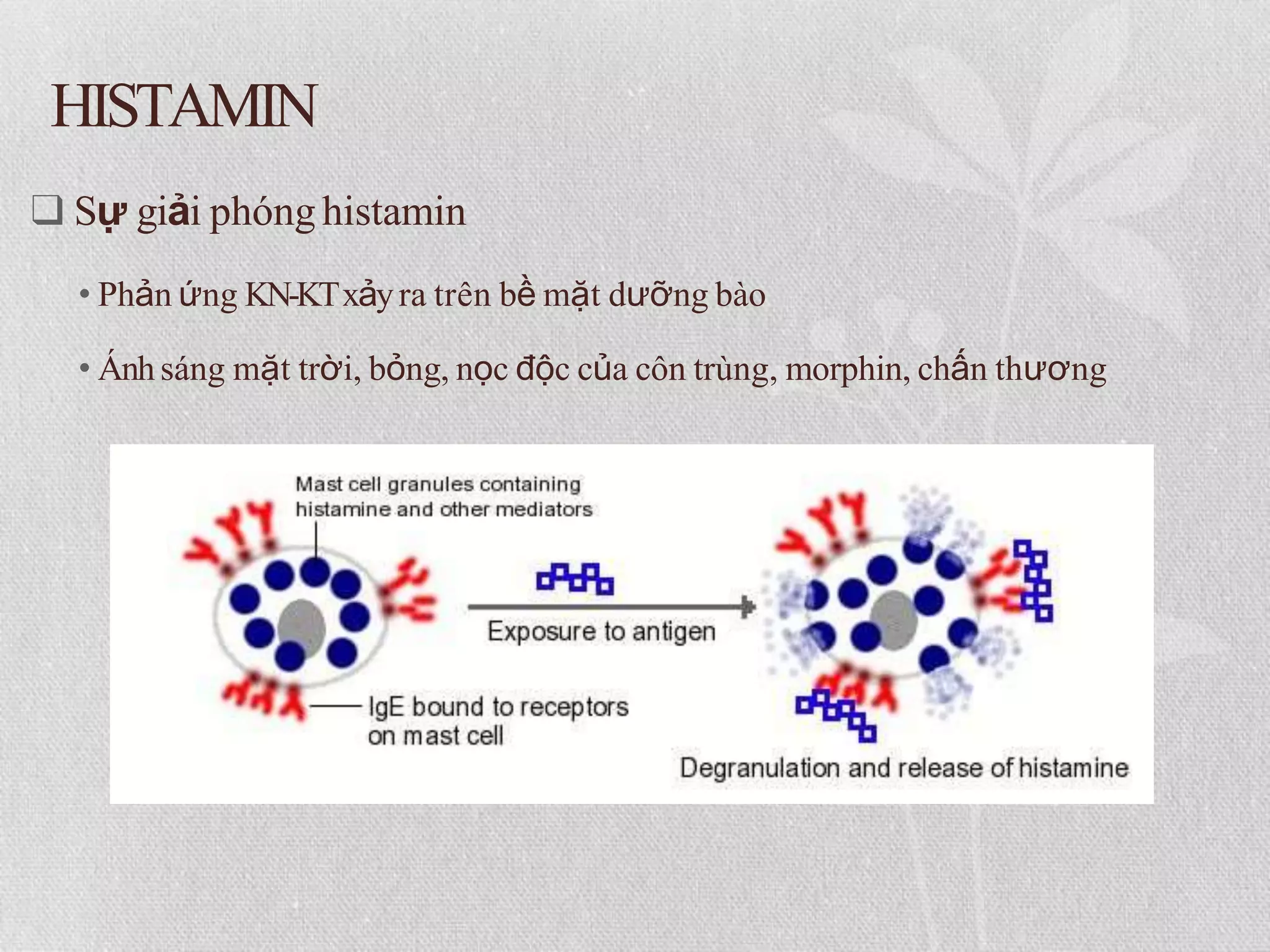 Antihistamines | PPTX