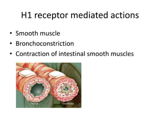 Antihistaminics | PPT