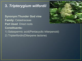 Anti HIV.pptx pharmacognosy Plants for the treatment of HIV | PPTX