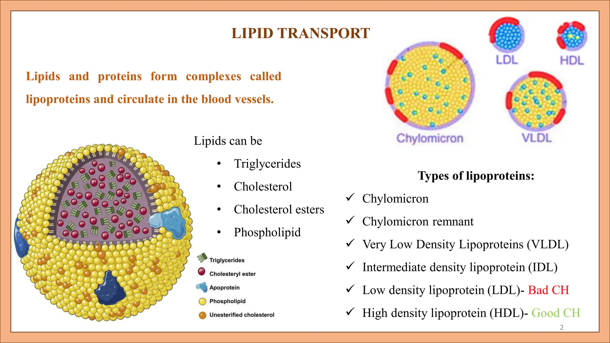 Antihyperlipidemic agents-Statins.pdf