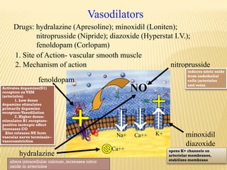 Antihypertensive | PDF