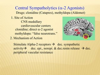 Antihypertensive | PPT