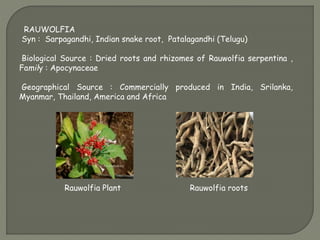 Antihypertensive | PPTX