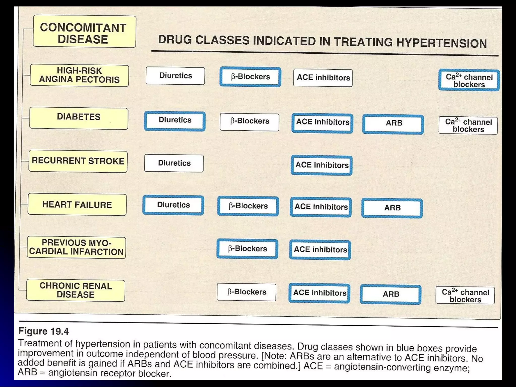 #Antihypertensive Drugs | PPT
