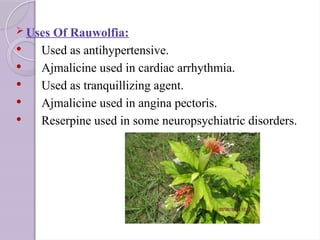 ANTIHYPERTENSIVE-RAUWOLFIA (2).pptx FOR FIRST YEAR DIPLOMA STUDENTS | PPTX