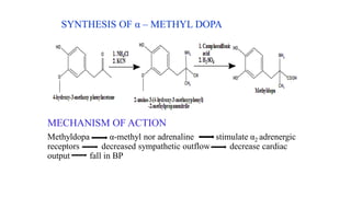 ANTIHYPERTENSIVE AGENTS | PDF