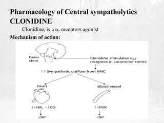 antihypertensive_agents Department of pharmacology | PPT
