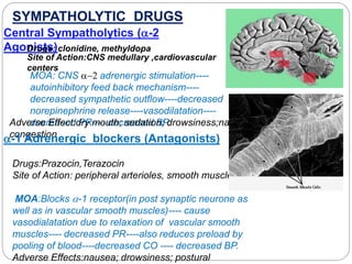 Anti Hypertensive Drugs | PPTX