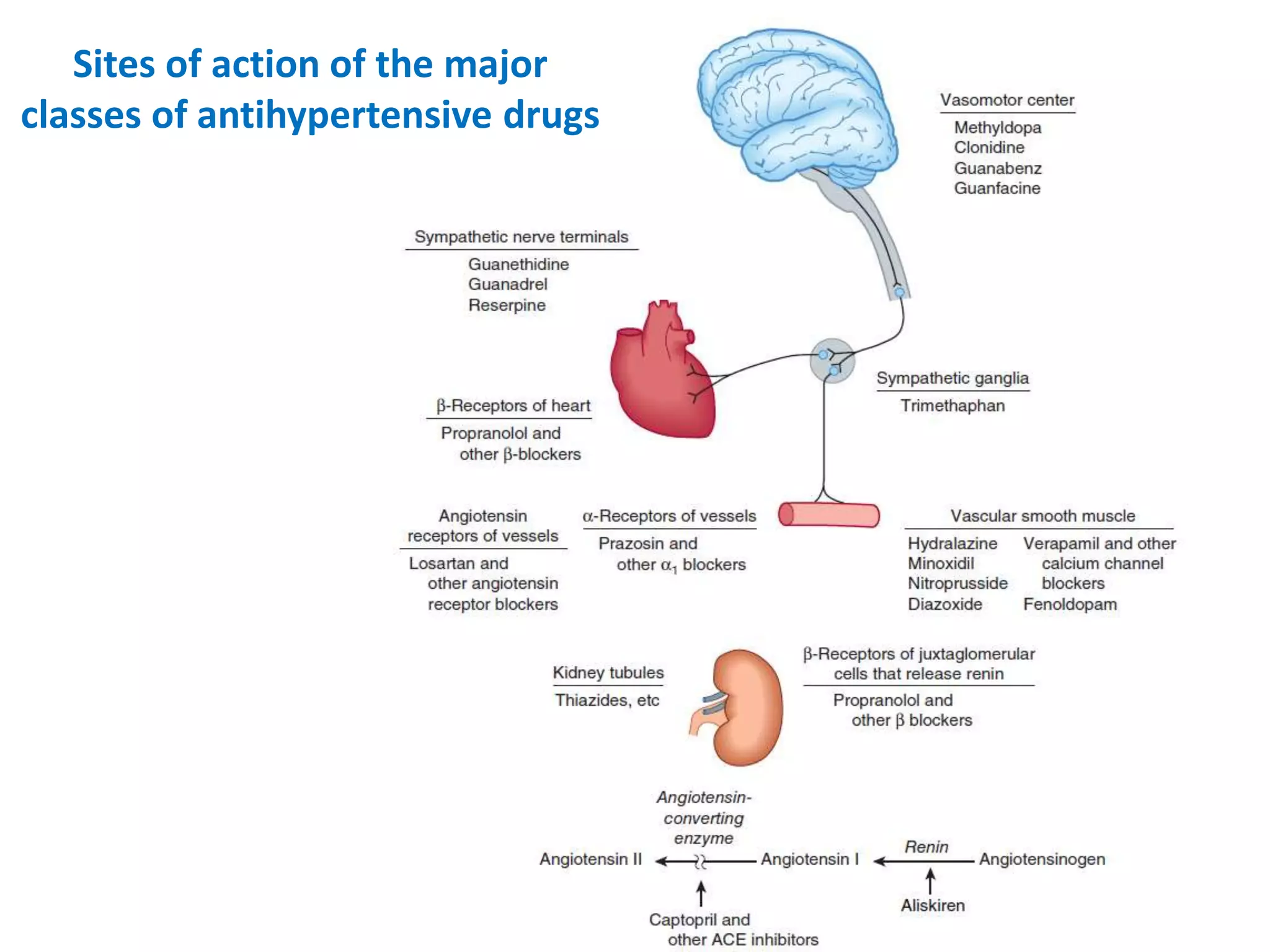 Antihypertensive drugs | PPTX