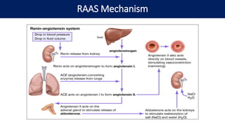 Antihypertensive Drugs.pptx