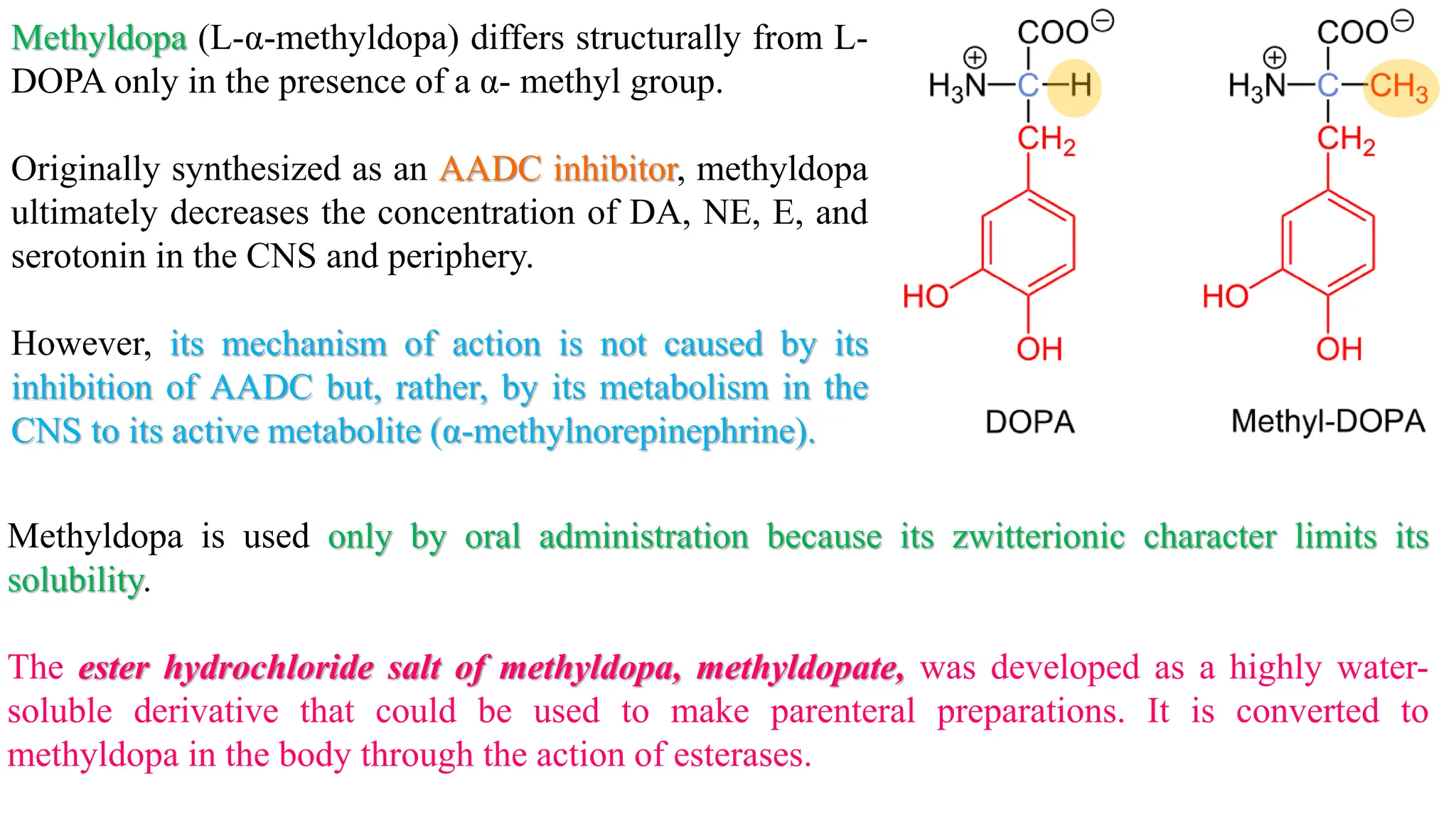 Antihypertensive drugs PCI.pdf