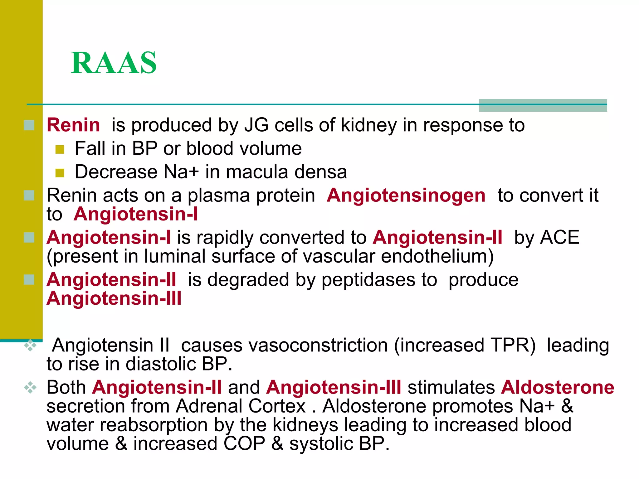 Antihypertensive mbbs copy | PPTX