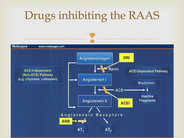 Recent advances in treatment of Hypertension -- Drugs inhibiting RAAS ...