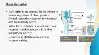 Antihypertensives | Classes of Drugs | Baro Receptor | PPT
