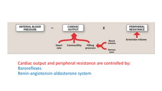 Antihypertensives | PPTX
