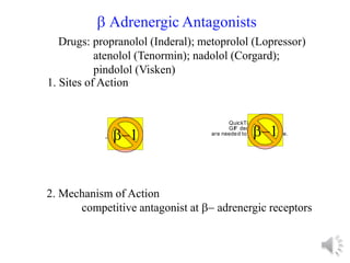 ANTIHYPERTENSIVES- MOA | PPT