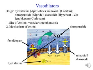 ANTIHYPERTENSIVES- MOA | PPT