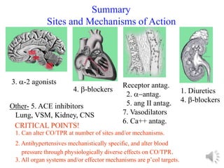 ANTIHYPERTENSIVES- MOA | PPT