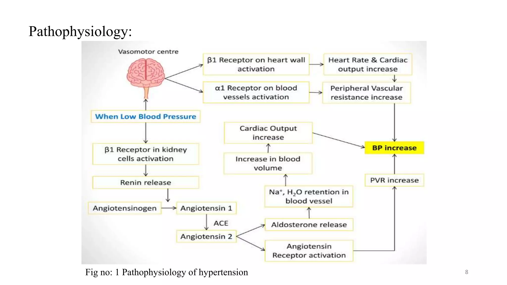 Antihypertensives.pptx