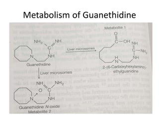 Presentation on Antihypertensives Agents.pdf
